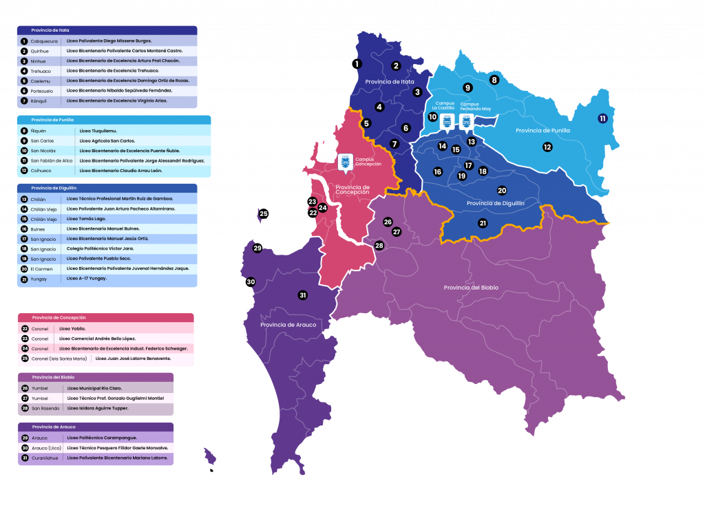 Liceos PACE UBB – PACE UBB